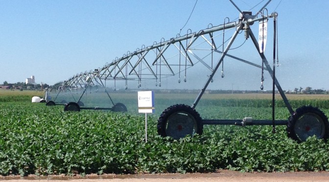 ABOUT THE IRF | IRRIGATION RESEARCH FOUNDATION