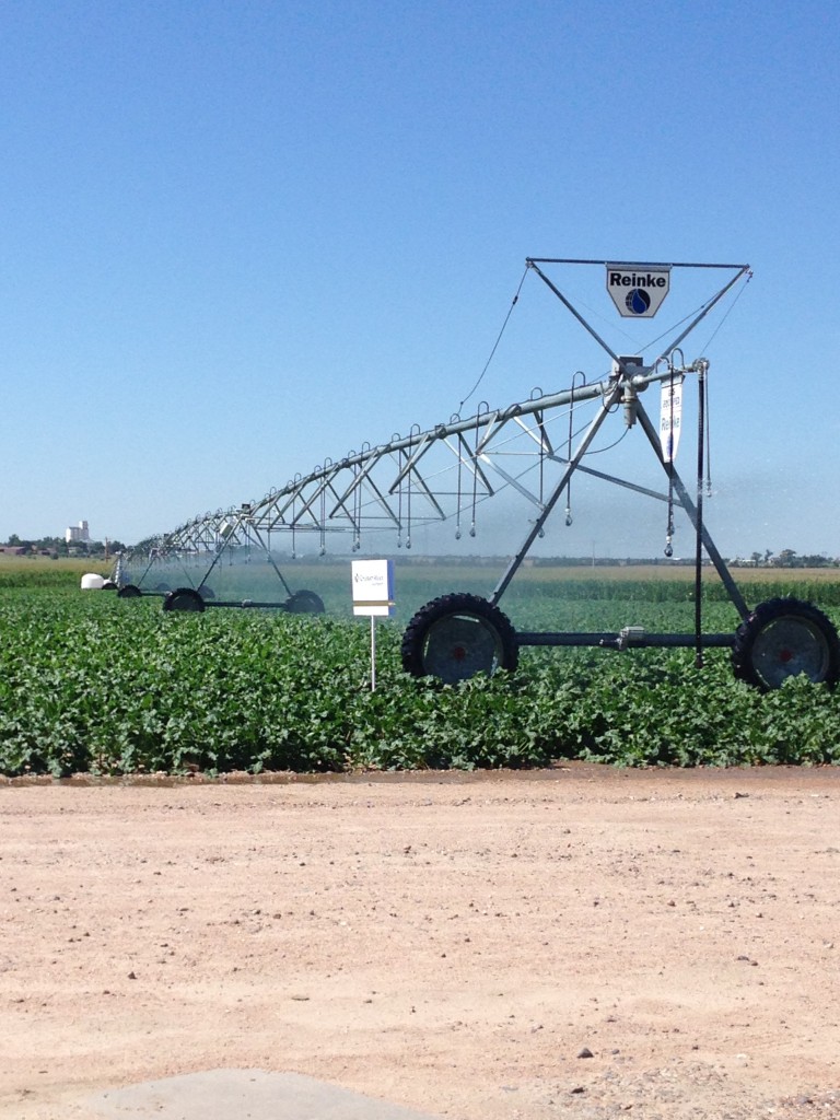 EQUIPMENT | IRRIGATION RESEARCH FOUNDATION