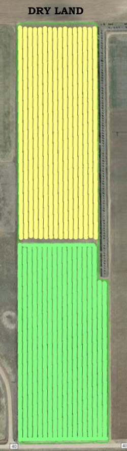 ABOUT THE IRF | IRRIGATION RESEARCH FOUNDATION